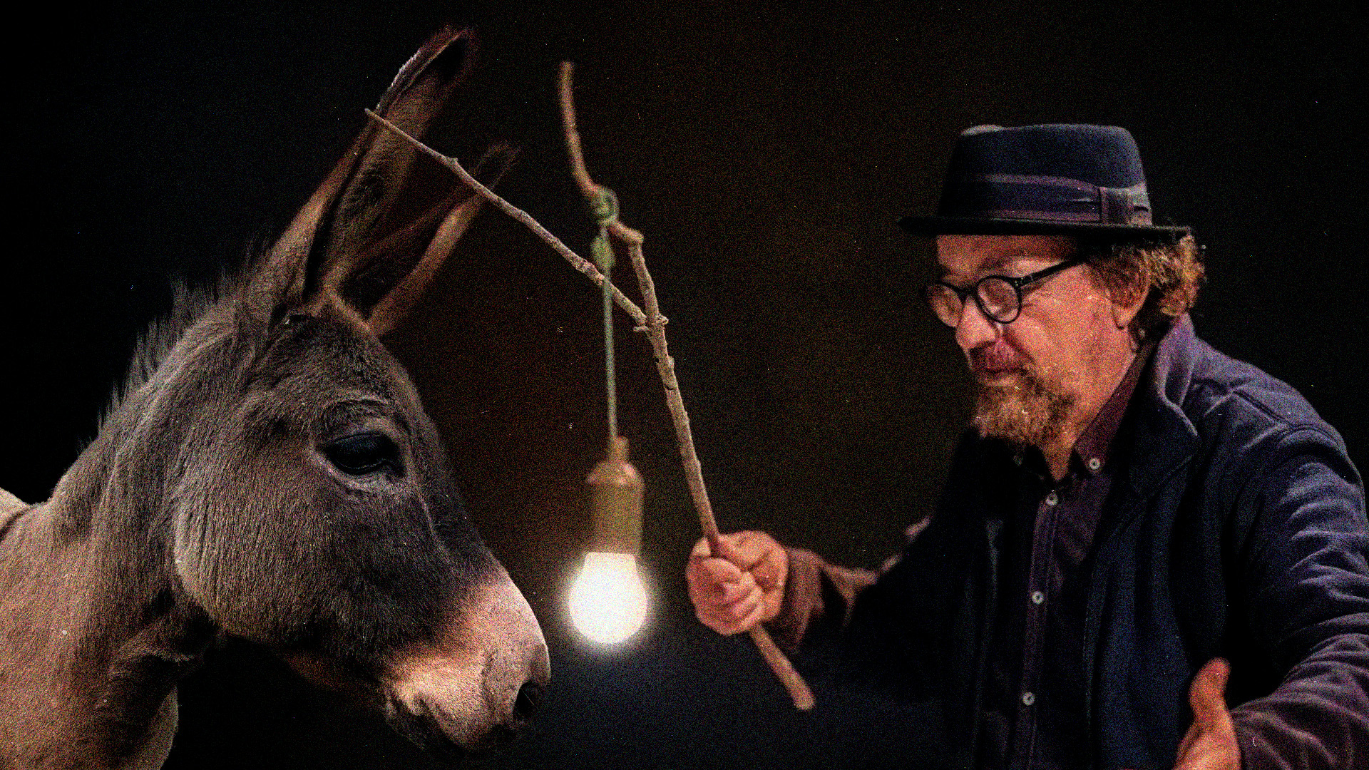 Il Vangelo raccontato da un asino patentato | Torino Spiritualità